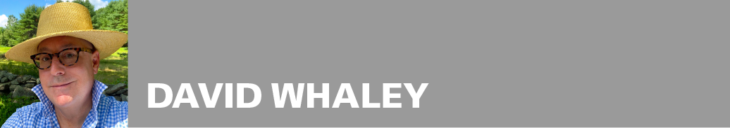 David Whaley – 1 – UCDA Foundation Board of Directors